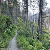 Sperry Chalet, Montana - 621 Reviews, Map | AllTrails