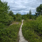 Blue Job Mountain Loop, New Hampshire - 2,248 Reviews, Map | AllTrails