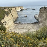 Old Cove Landing Trail, California - 3,990 Reviews, Map | AllTrails