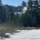 Mount Forgotten Meadows Trail, Washington - 353 Reviews, Map | AllTrails