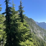Mount Forgotten Meadows Trail, Washington - 353 Reviews, Map | AllTrails