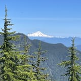 Mount Forgotten Meadows Trail, Washington - 353 Reviews, Map | AllTrails