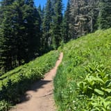 Summit Lake Trail, Washington - 2,935 Reviews, Map | AllTrails