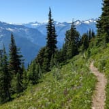 Ruby Mountain Summit via Fourth of July and Thunder Creek Trail [CLOSED ...
