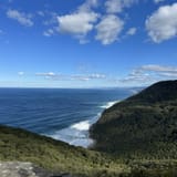 Palm Jungle Loop Track, New South Wales, Australia - 339 Reviews, Map ...