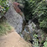 Temescal Canyon Trail, California - 10,890 Reviews, Map | AllTrails