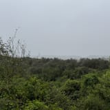 Temescal Canyon Trail, California - 10,890 Reviews, Map | AllTrails