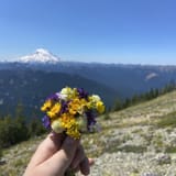 Mount Aix Trail, Washington - 147 Reviews, Map | AllTrails