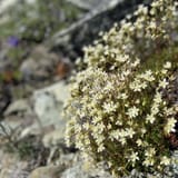 Mount Aix Trail, Washington - 147 Reviews, Map | AllTrails