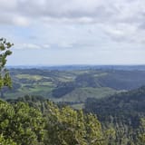 Cossey Massey Loop Track, Auckland, New Zealand - 889 Reviews, Map ...