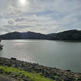 Cossey Massey Loop Track, Auckland, New Zealand - 889 Reviews, Map ...