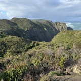 Mercer Bay Loop Track, Auckland, New Zealand - 712 Reviews, Map | AllTrails