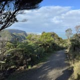 Mercer Bay Loop Track, Auckland, New Zealand - 712 Reviews, Map | AllTrails