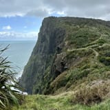 Mercer Bay Loop Track, Auckland, New Zealand - 712 Reviews, Map | AllTrails