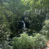 Mouse Creek Falls via Big Creek Trail, Tennessee - 2,949 Reviews, Map ...