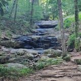 Henderson Park Loop, Georgia - 1,909 Reviews, Map | AllTrails