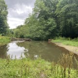 Wepre Park Circular, Flintshire, Wales - 498 Reviews, Map | AllTrails