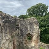 Wepre Park Circular, Flintshire, Wales - 493 Reviews, Map | AllTrails