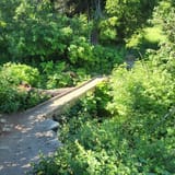 Bogus Basin Loop Trail, Idaho - 252 Reviews, Map | AllTrails