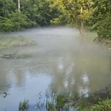 Round Spring Trail, Missouri - 96 Reviews, Map | AllTrails