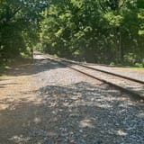 Virginius Island Trail, West Virginia - 203 Reviews, Map | AllTrails