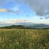 Max Patch Loop, North Carolina - 2,363 Reviews, Map | AllTrails