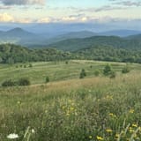 Max Patch Loop, North Carolina - 2,363 Reviews, Map | AllTrails