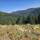 Cone Peak Trail, Oregon - 804 Reviews, Map | AllTrails