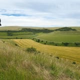 Woodingdean, Drove Avenue, and Castle Hill Nature Reserve Circular ...