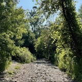 David J Culham Trail, Ontario, Canada - 1,303 Reviews, Map | AllTrails