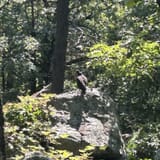 Coon Ridge Trail, Oklahoma - 357 Reviews, Map | AllTrails