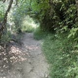 Temescal Canyon Trail, California - 10,890 Reviews, Map | AllTrails