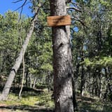 Raspberry Mountain Trail via Ring the Peak Trail, Colorado - 2,036 ...