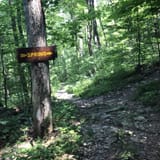 Mount Tremper Trail, New York - 1,630 Reviews, Map | AllTrails