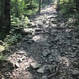 Mount Tremper Trail, New York - 1,630 Reviews, Map | AllTrails