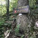 Mount Tremper Trail, New York - 1,630 Reviews, Map | AllTrails