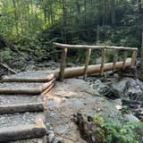Ramsey Cascades Trail, Tennessee - 2,495 Reviews, Map | AllTrails