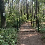 Eagle Point Trail, North Carolina - 236 Reviews, Map | AllTrails