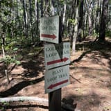 Eagle Point Trail, North Carolina - 236 Reviews, Map | AllTrails