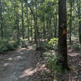 Eagle Point Trail, North Carolina - 236 Reviews, Map | AllTrails
