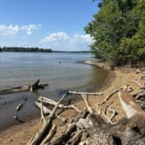 Eagle Point Trail, North Carolina - 236 Reviews, Map | AllTrails