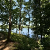 Dam Road, Issaqueena, Rocky and Collarbone Trail, South Carolina ...