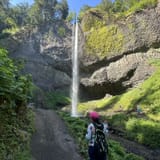 Latourell Falls Loop, Oregon - 7,156 Reviews, Map | AllTrails