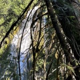 Proxy Falls Loop, Oregon - 1,269 Reviews, Map | AllTrails