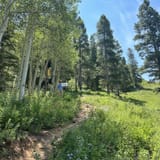 Ute Trail, Colorado - 1,377 Reviews, Map | AllTrails