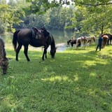 Pyramid State Park Loop Trail, Illinois - 235 Reviews, Map | AllTrails