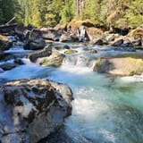 Staircase Rapids Loop, Washington - 2,860 Reviews, Map | AllTrails
