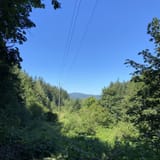 Tradition Lake Loop Trail, Washington - 1,643 Reviews, Map | AllTrails