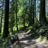 Tradition Lake Loop Trail, Washington - 1,643 Reviews, Map | AllTrails