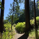 Tradition Lake Loop Trail, Washington - 1,643 Reviews, Map | AllTrails